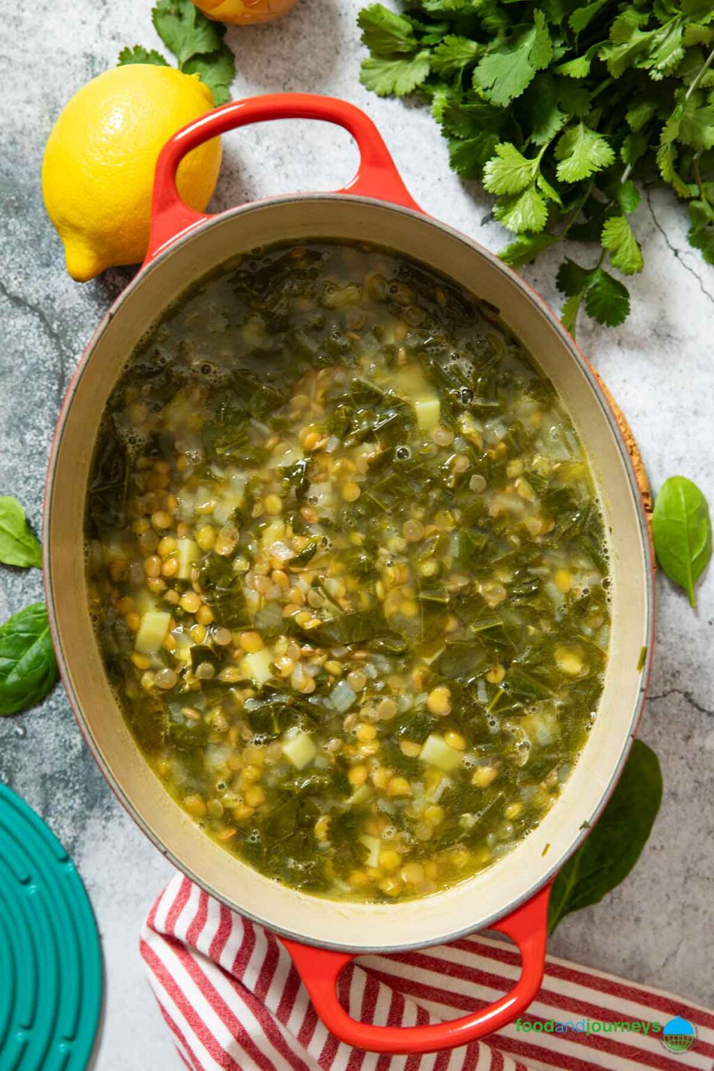 Lebanese Lemon Lentil Soup (Adas Bhamod) - Food and Journeys®