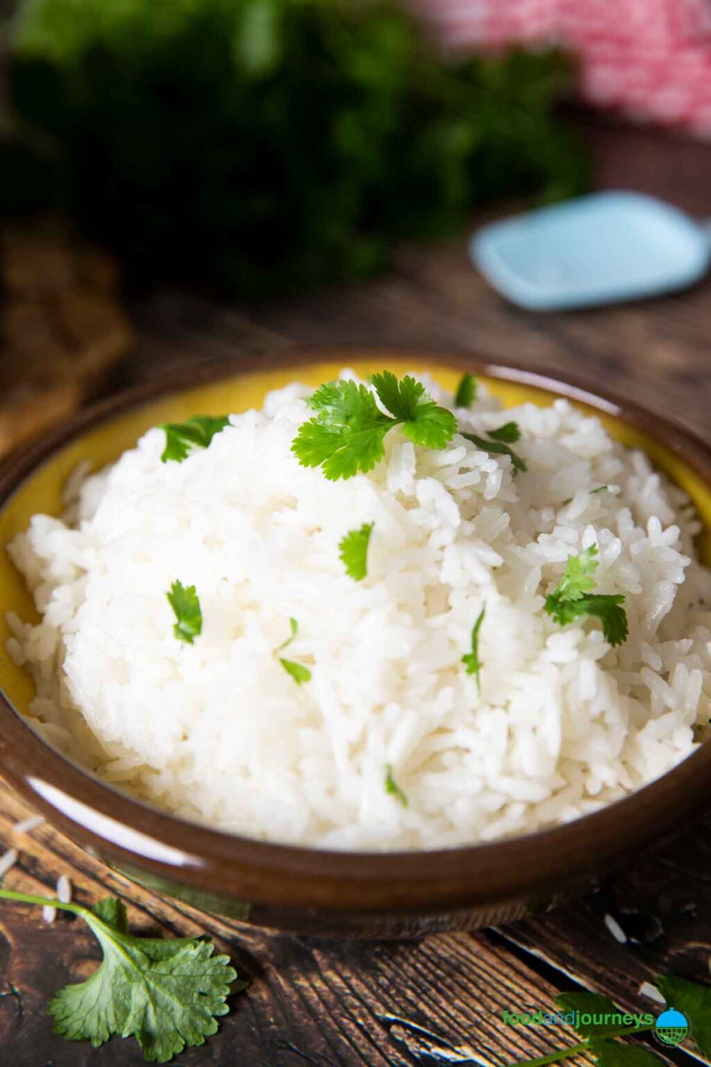 Thai Coconut Rice - Food and Journeys®