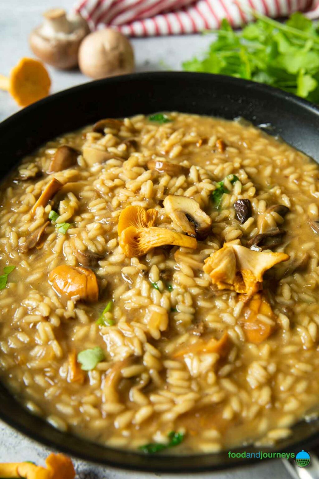 Mushroom Risotto (Risotto ai Funghi) - Food and Journeys®