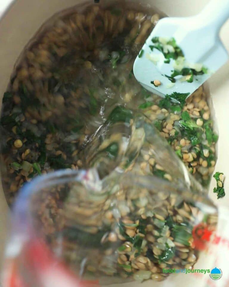 Lebanese Lemon Lentil Soup (Adas Bhamod) - Food and Journeys®