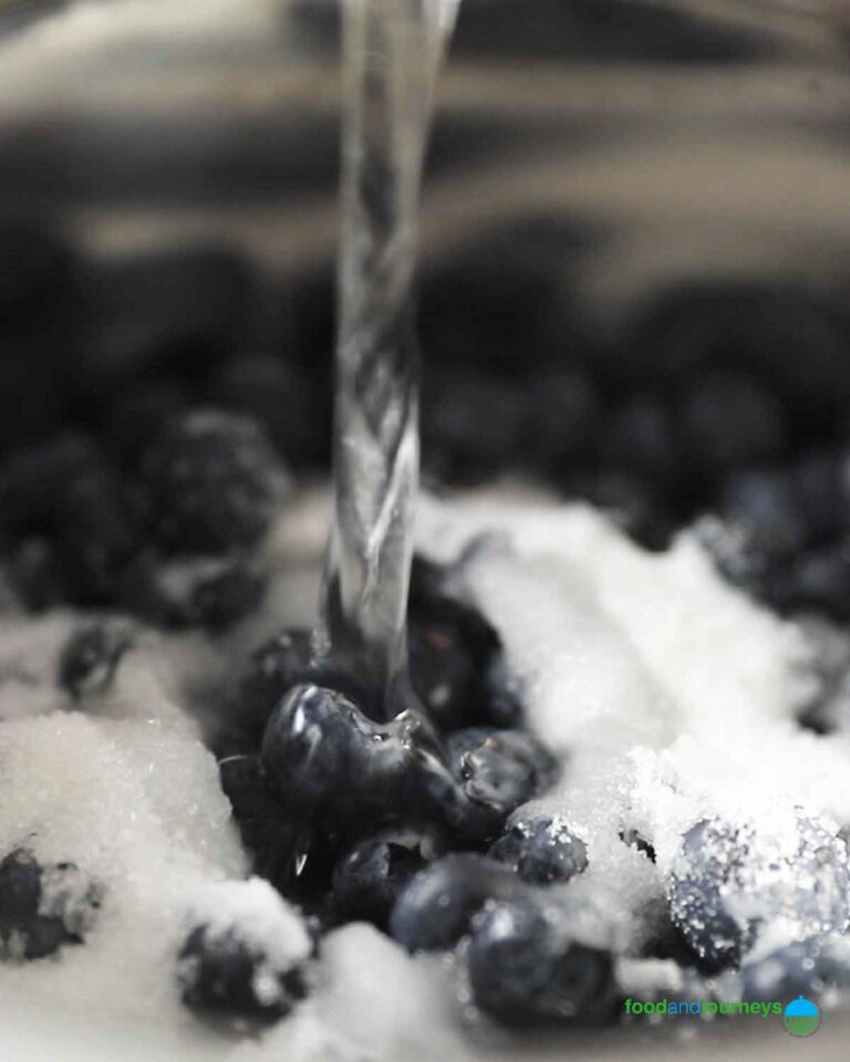 Swedish Blueberry Soup (Blåbärssoppa) - Food and Journeys®